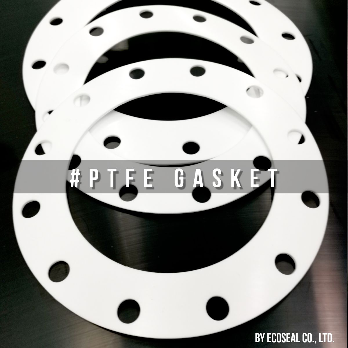 PTFE Gasket
