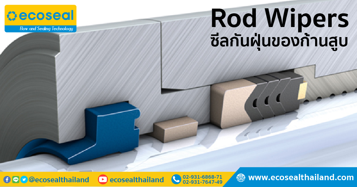 ซีลกันฝุ่นของก้านสูบ (Rod Wipers)